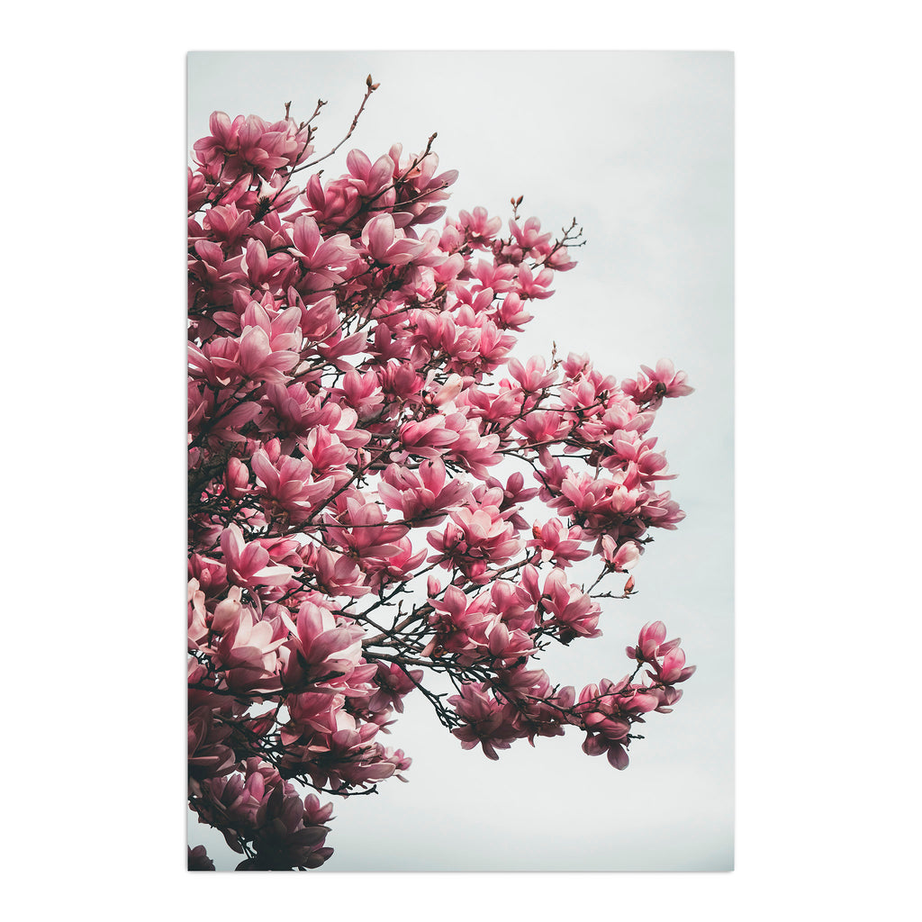 Magnolia Tree Canvas Wall Art: Made of Premium Quality Materials ...